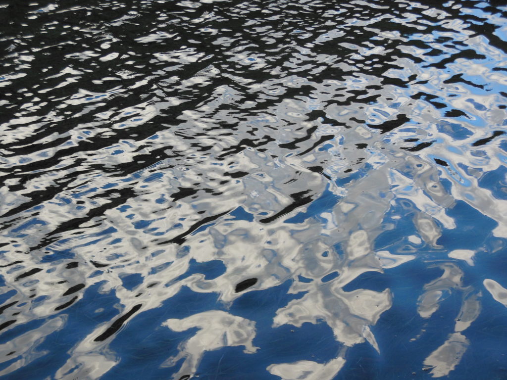 About – Ripple Out